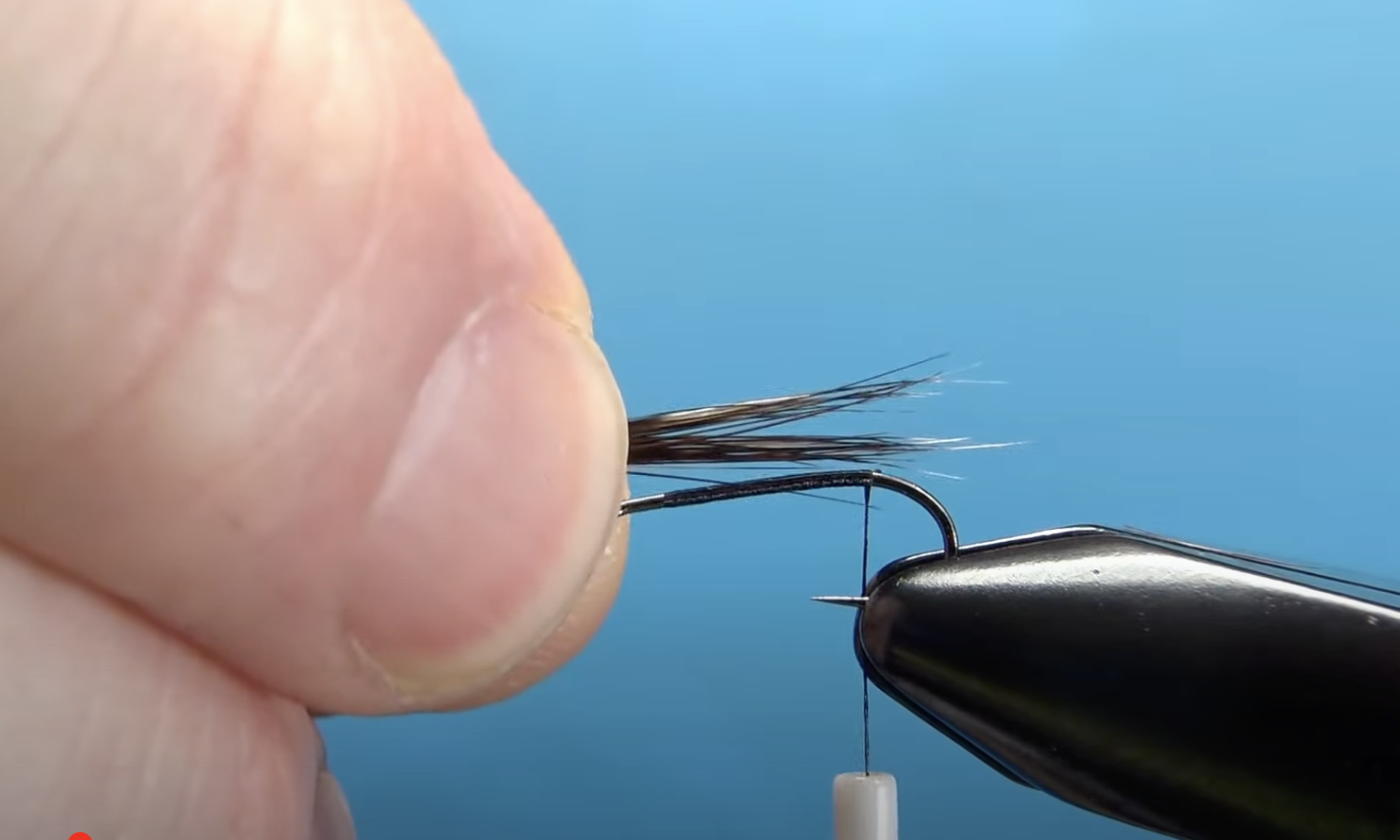 StepsbyStep Guide: Fly Tying for Beginners The Adams Dry Fly — Fly Life Media
